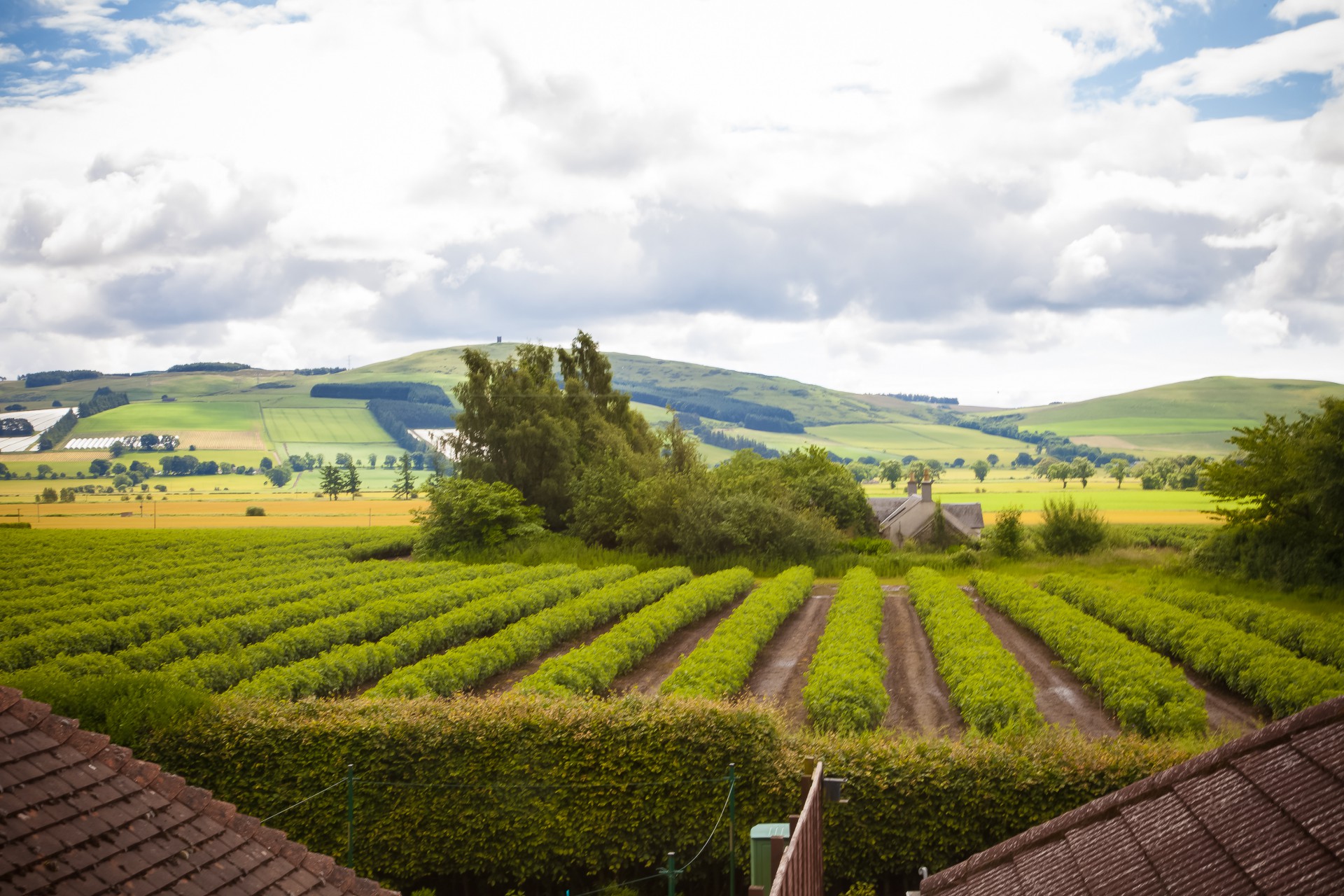 Meigle Country House - Priority Care